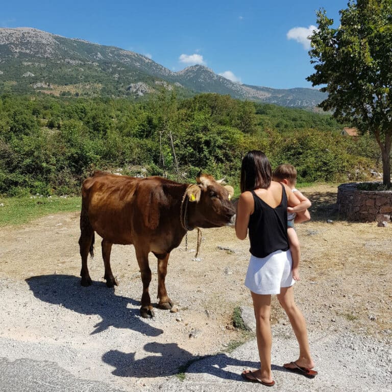 Montenegro mit Kindern: Unser Roadtrip durch den Balkan